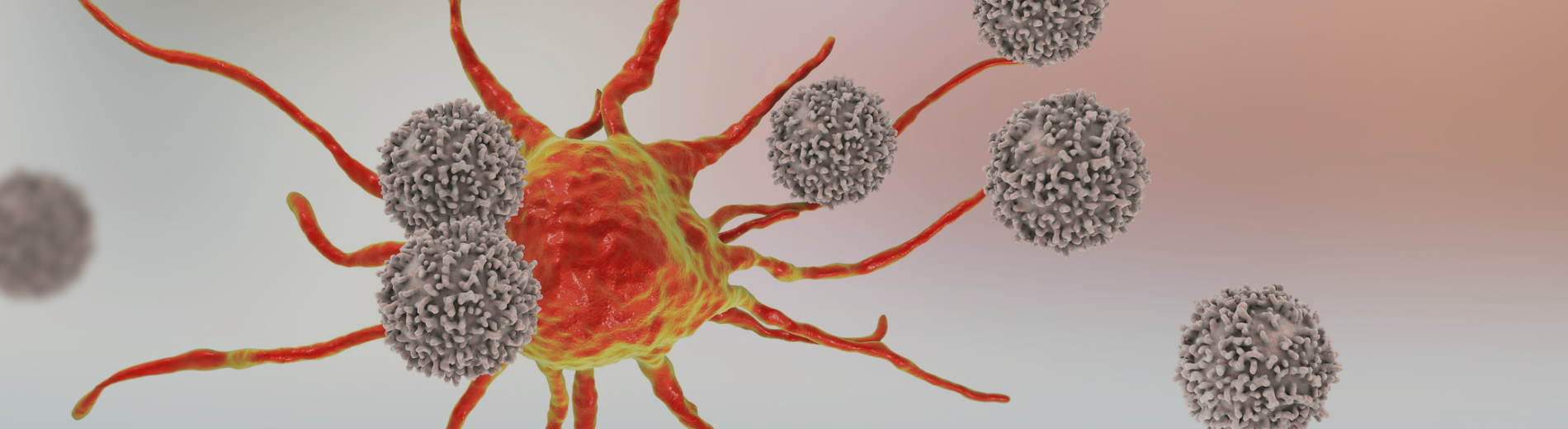 8th EULAR Course on Immunology 2025 | EULAR Congress